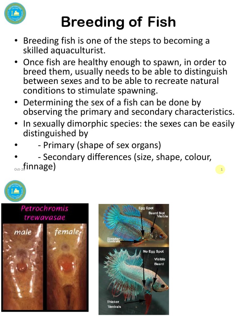 Lecture Note 06 | PDF | Spawn (Biology) | Egg