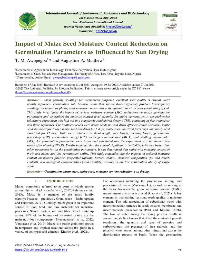 Maize Germination and Moisture Effects | PDF | Seed | Maize