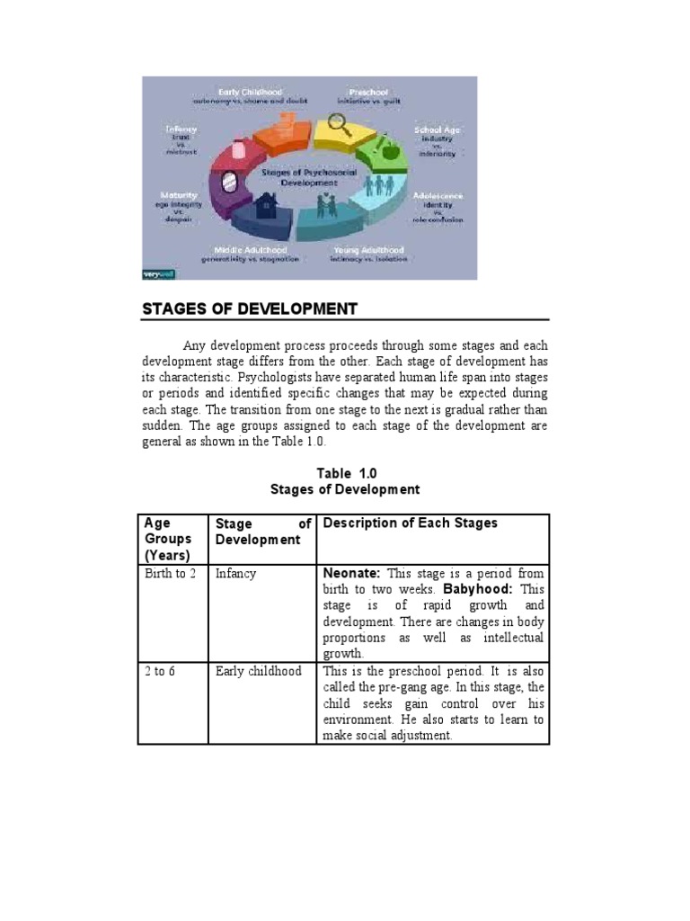 Stages of Development | PDF | Adolescence | Adults