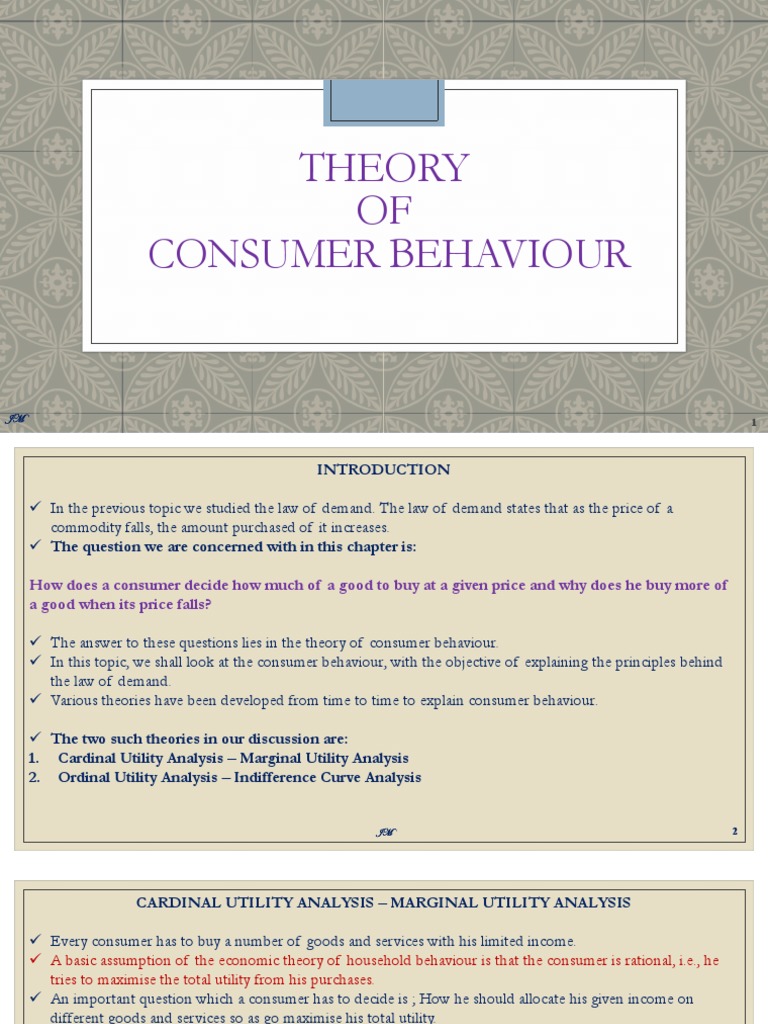 Understanding Consumer Behavior Theories | PDF