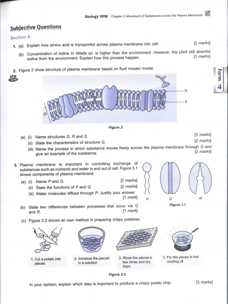 Form 4 Biology Chapter 3 | PDF