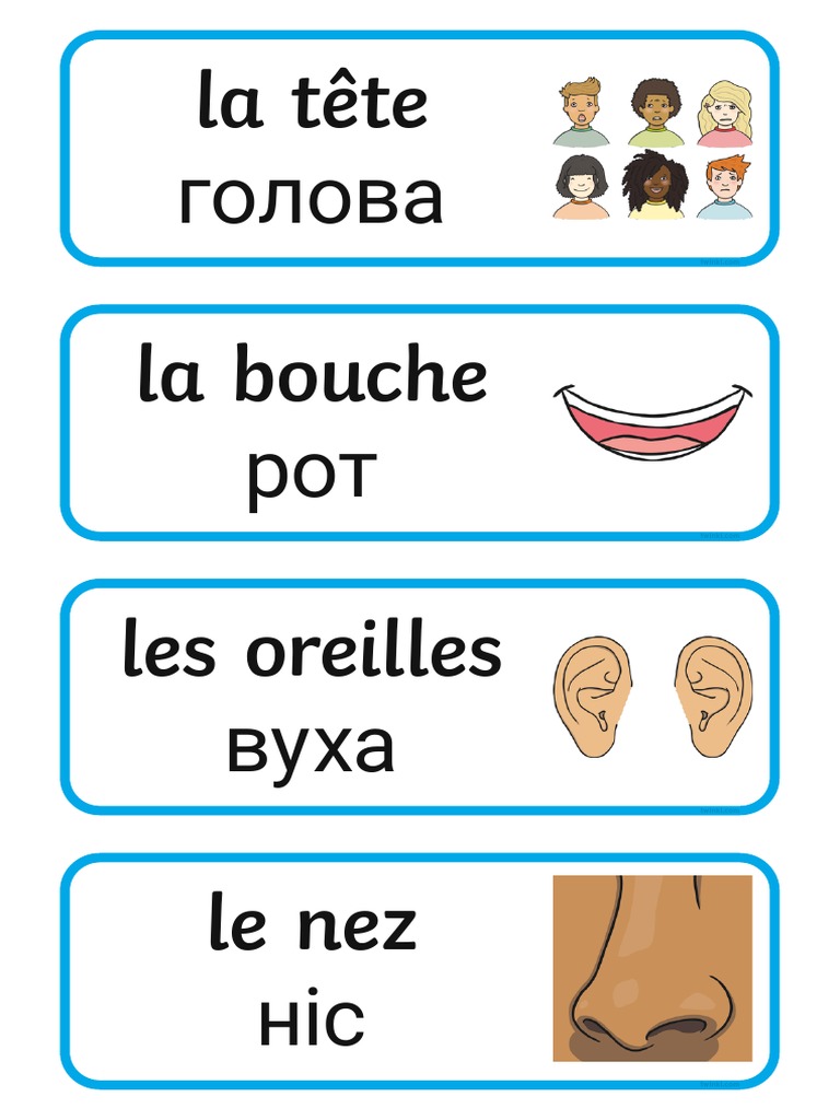 Vocabulaire Francais Ukrainien Le Visage - Ver - 1 | PDF