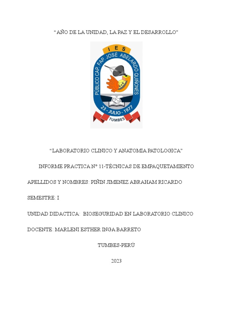 Informe Practica N 11 Pdf