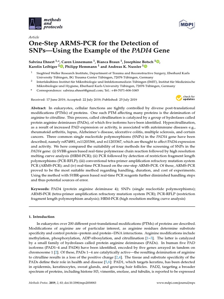 Arms PCR | PDF | Single Nucleotide Polymorphism | Biotechnology