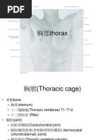 Osteology of The Goat | PDF | Vertebra | Vertebral Column