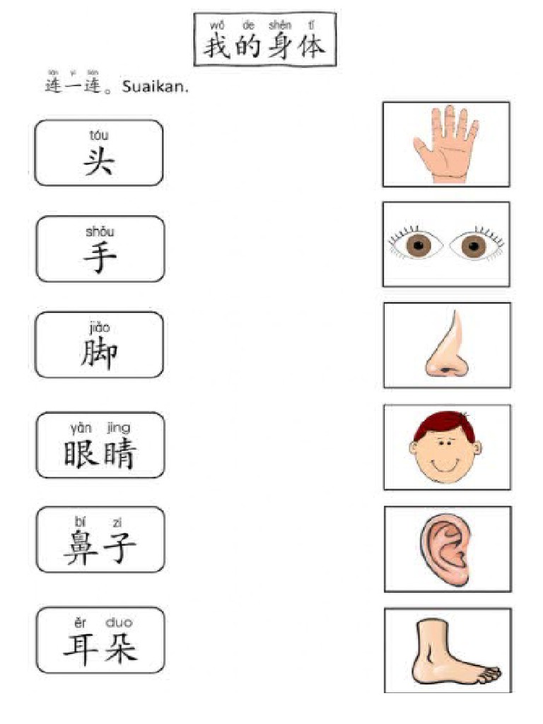 6 岁 华文练习 | PDF