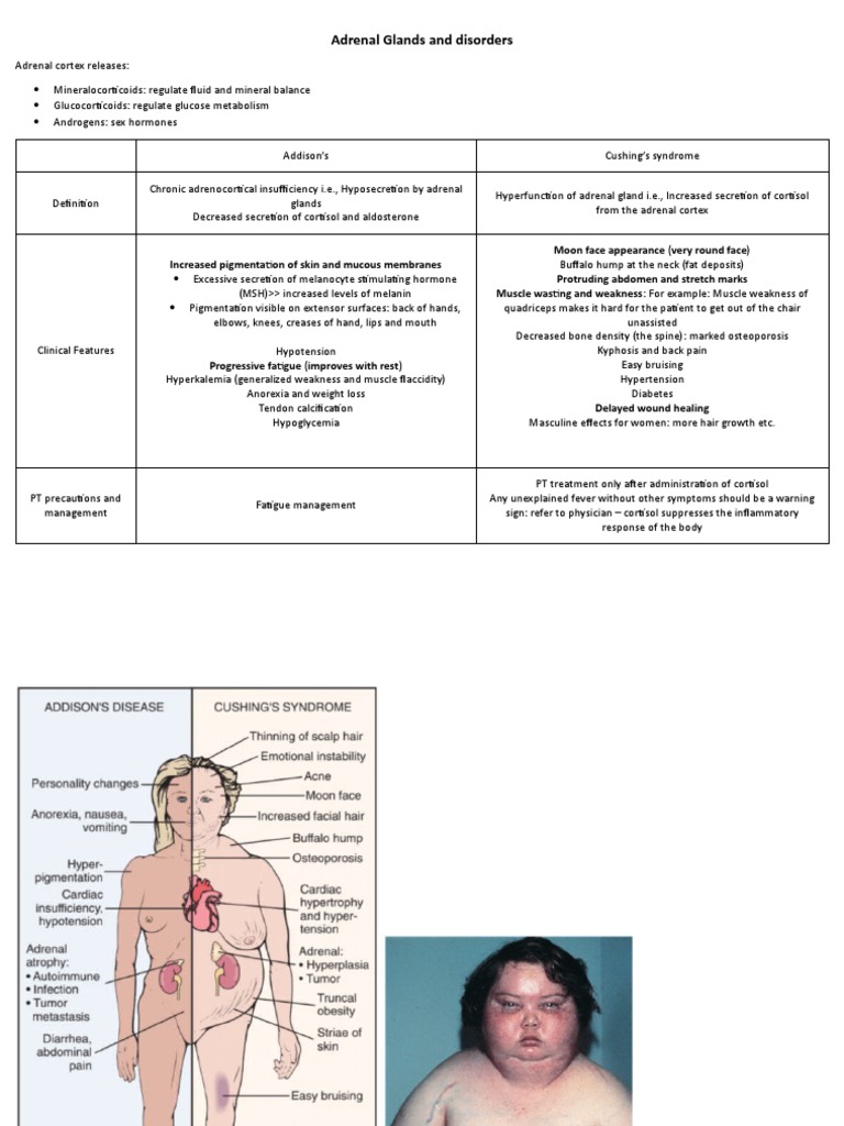 Addisons Vs Cushing | PDF | Adrenal Gland | Endocrinology