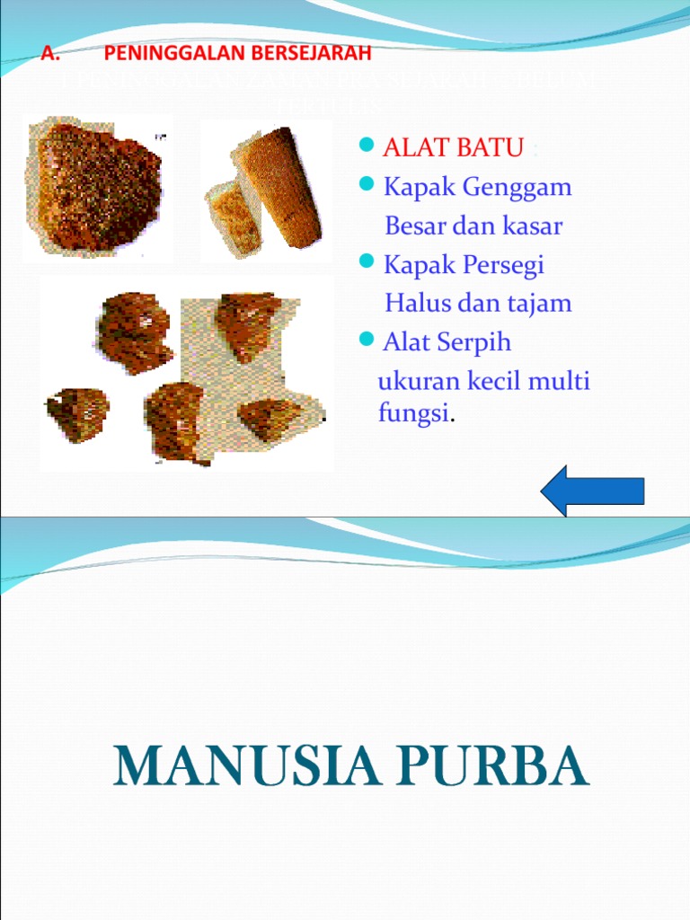 Manusia Purba | PDF | Dewasa Muda