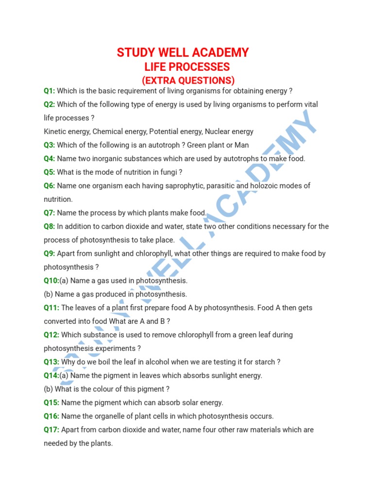 Life Processes Extra Questions | PDF | Respiratory System | Digestion