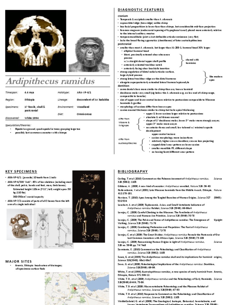 Ardipithecus Ramidus - Cheatsheet | PDF | Pliocene | Human Evolution