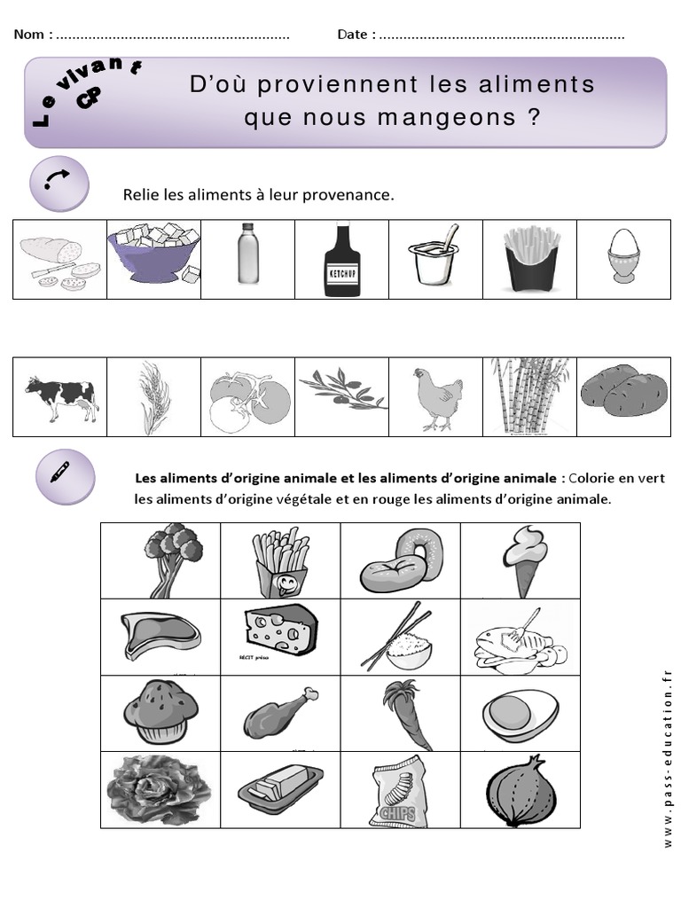 Origine des Aliments : Exercice CP | PDF | Bien-être