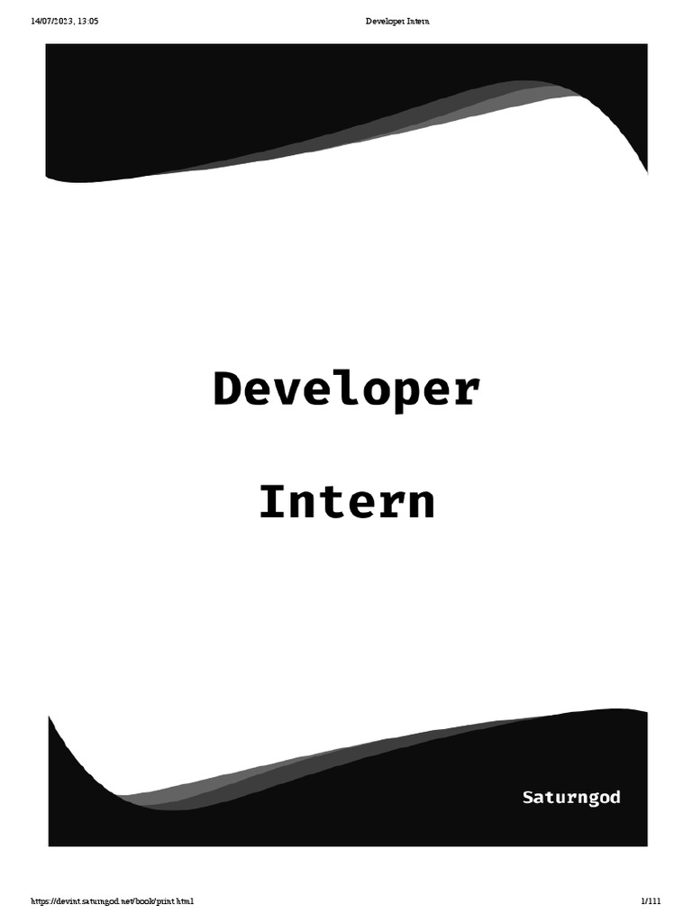 Developer Intern | PDF