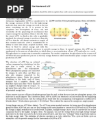 Macromolecule Comparison Table | PDF
