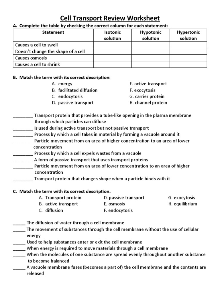 Active Transport and Cell Membrane Functions | PDF | Cell Membrane ...