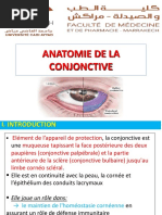 Anatomie des Muscles de la Face | PDF | Lèvre | Anatomie