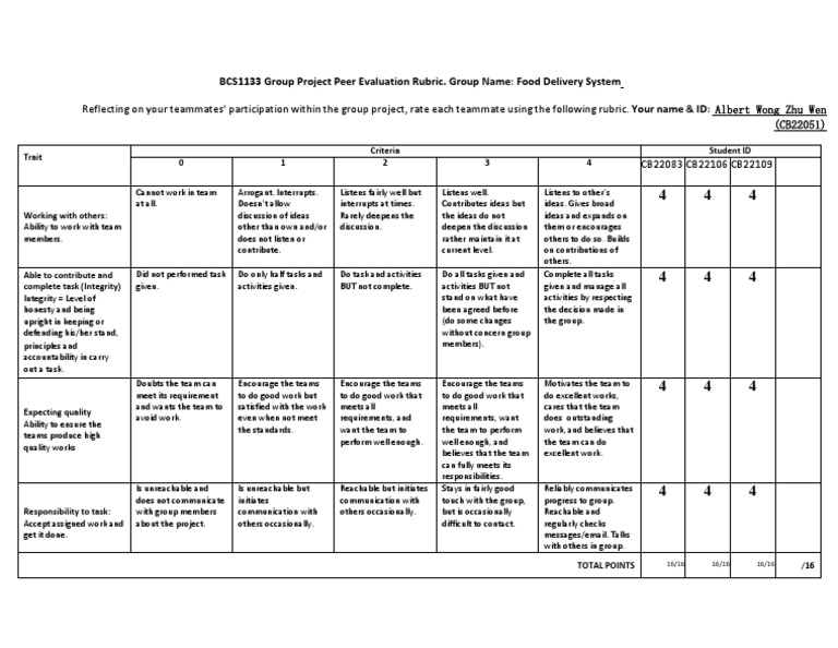 Group Project Peer Evaluation Rubric | PDF | Rubric (Academic) | Human ...