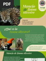 Captura y Métodos de Marcaje de Fauna Silvestre | PDF | Fauna | Caza
