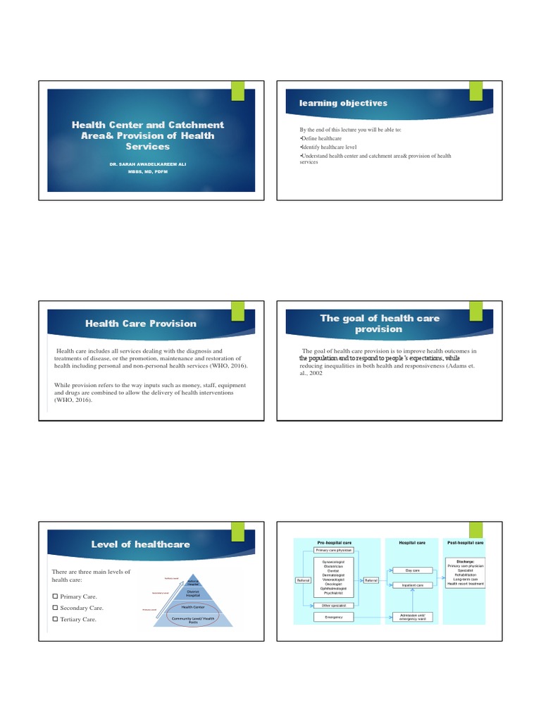 Health Service Provision and Catchment Areas | PDF | Health Care ...