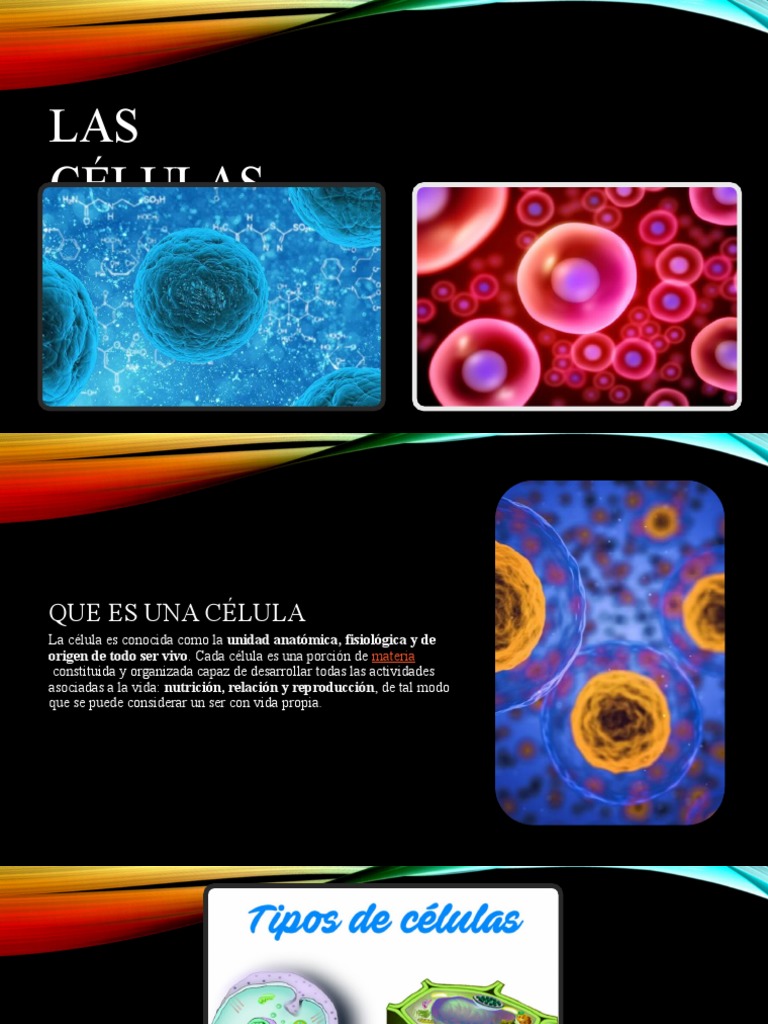 2 Las Celulas | PDF | Biología Celular) | Eucariotas