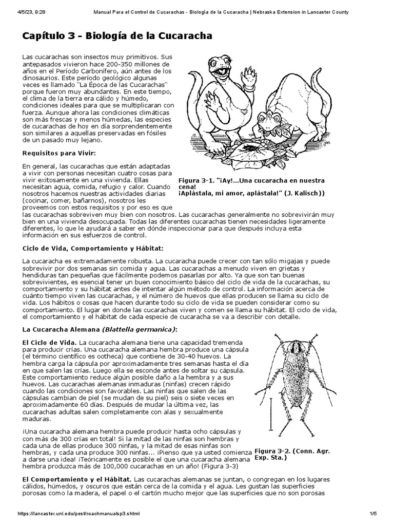 Biología Y Control De Cucarachas Pdf Insectos
