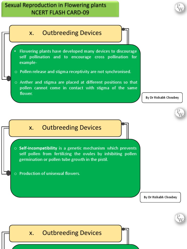 Sexual Reproduction in Flowering Plant Ncert Flash Card 09 | PDF