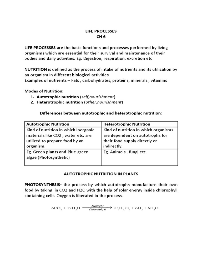 CH Life Process 20230715151732055 | PDF