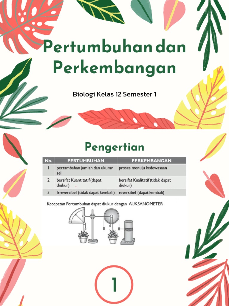 Pertumbuhan Dan Perkembangan Kelas 12 | PDF | Kesehatan Holistik