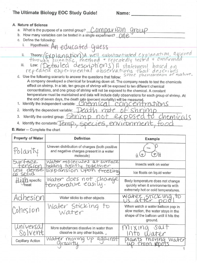 Kami Export - Complete Answer Key | PDF