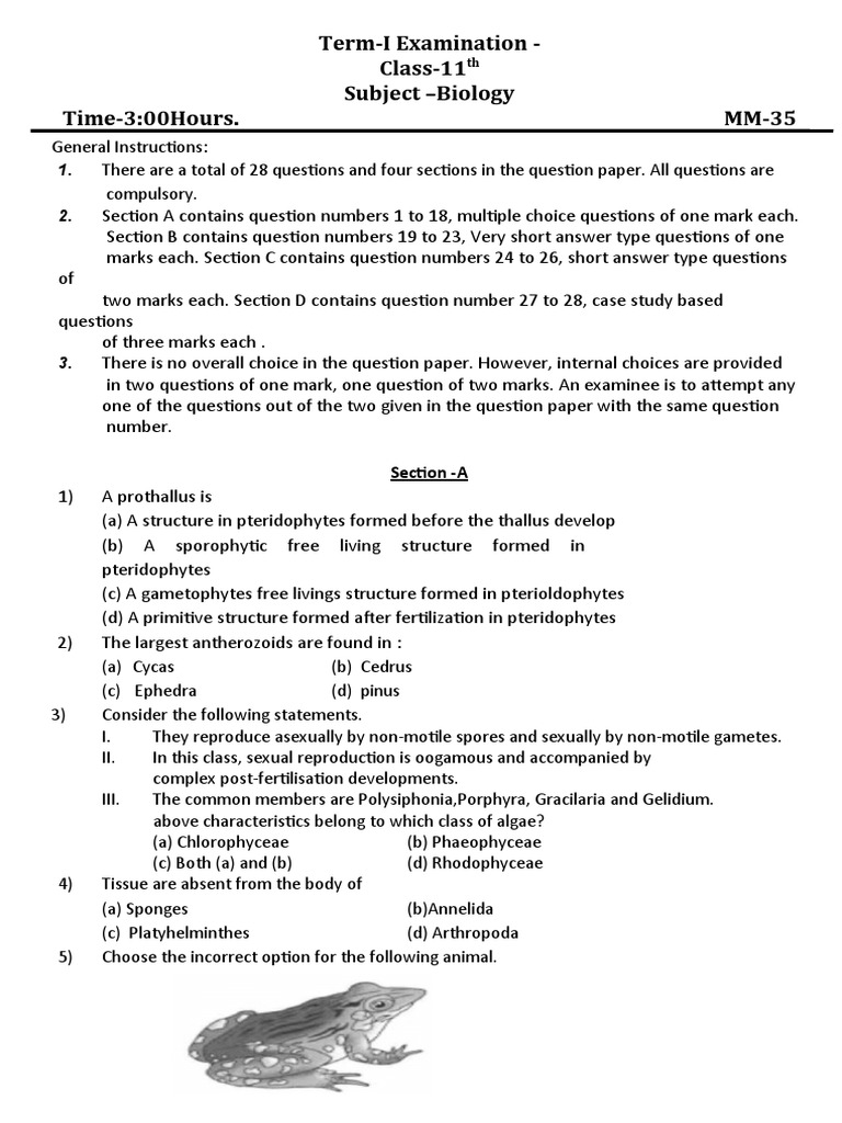 11th Bio | PDF | Tissue (Biology) | Cell (Biology)