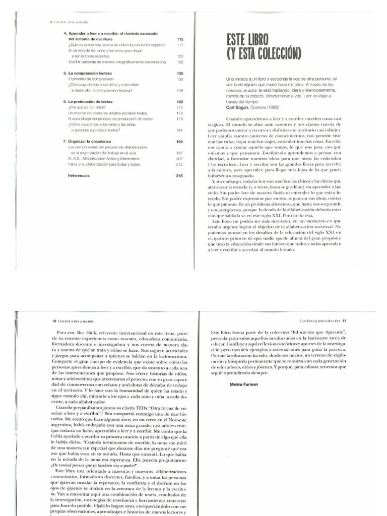 Enseñar A LEER Y ESCRIBIR - Beatriz Diuk (Introducción) | PDF