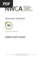 RTPA Checklist | PDF | Stroke | Clinical Medicine