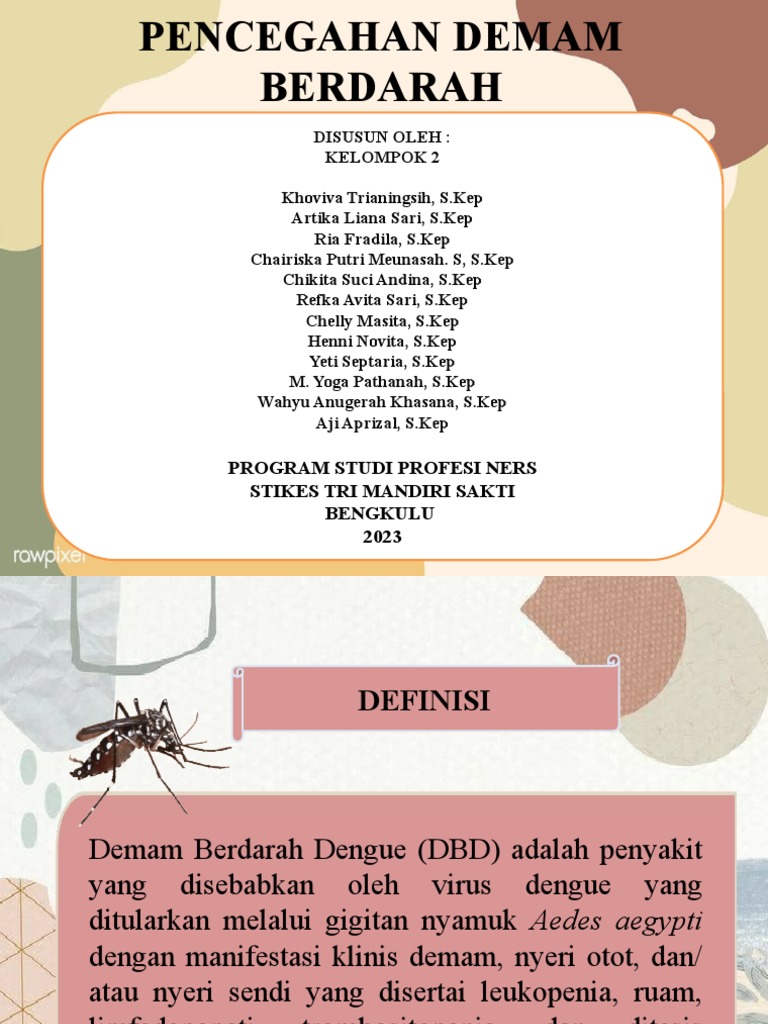 Penyuluhan DBD | PDF