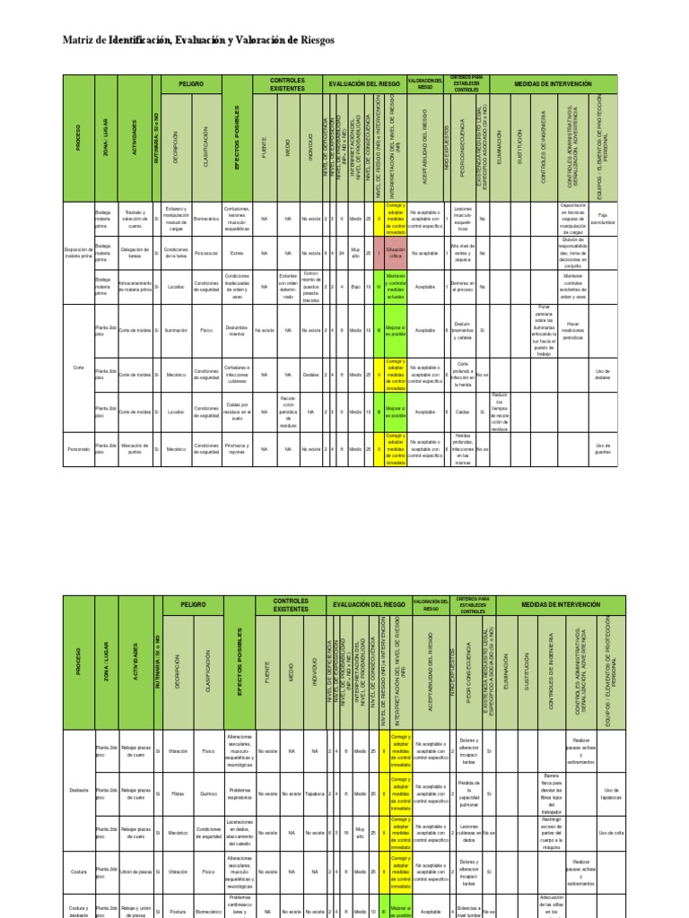 Matriz Identificacion Evaluacion y Valoracion de Riesgos | PDF | Estrés (biología)