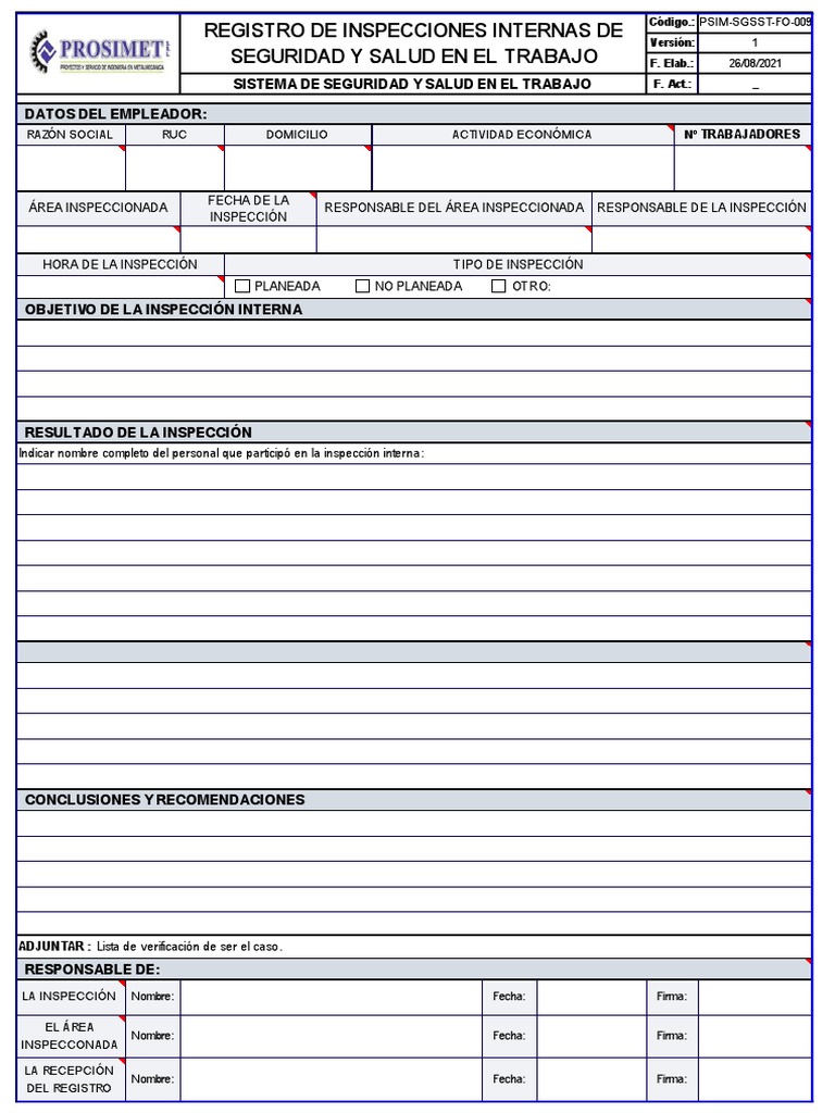 Formato Inspeccion | PDF