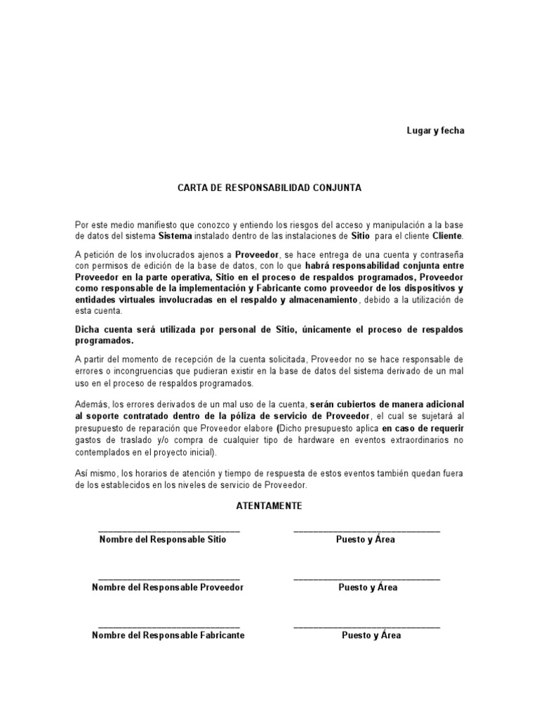 Carta de Responsabilidad Conjunta | PDF