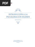 Introduccion A La Programacion EF | PDF | Negocios | Computadoras