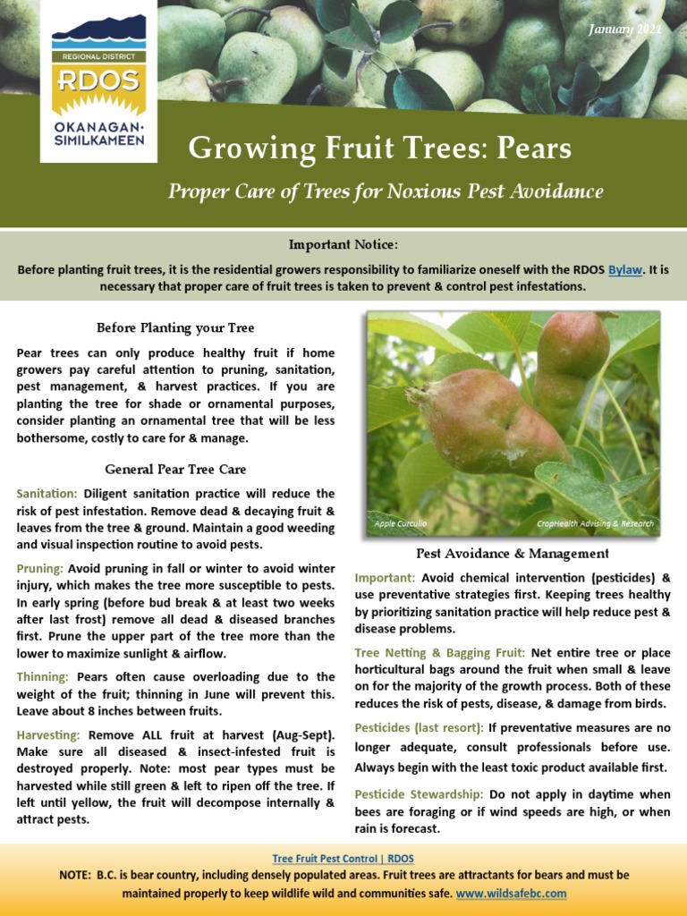 Pear Fact Sheet | PDF