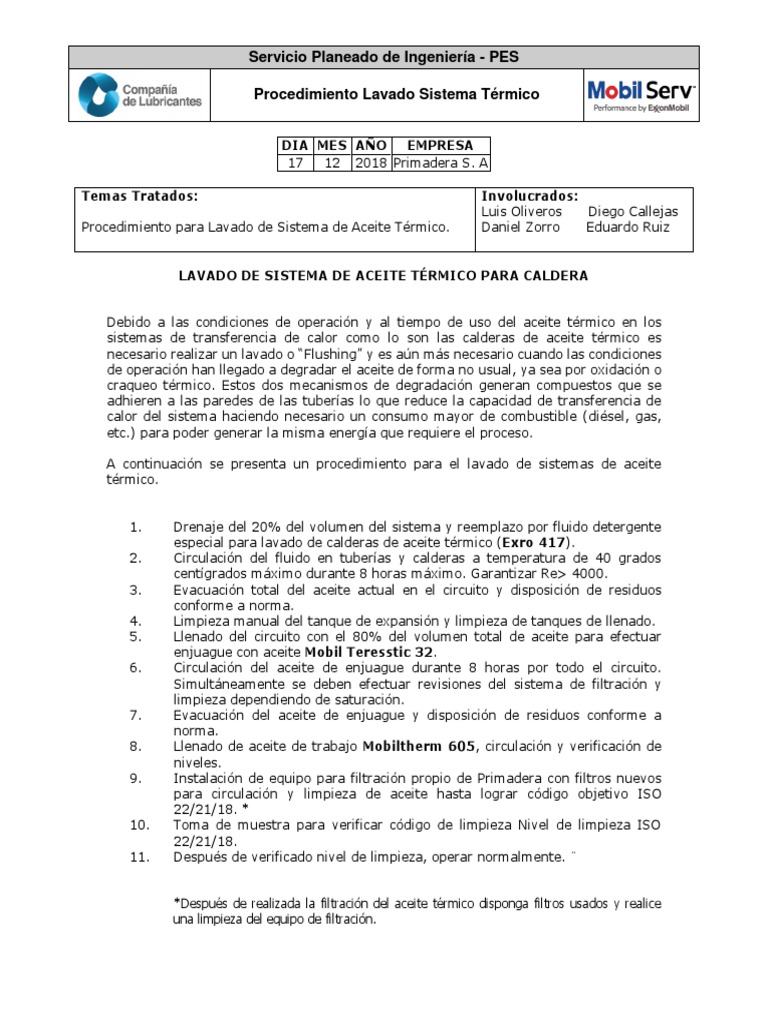 Procedimiento Flushing Termico | PDF | Petróleo | Calor
