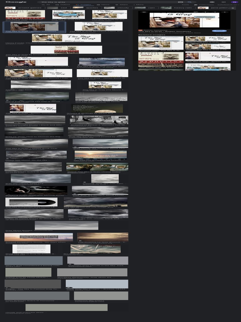 The Sky Is Gray | PDF