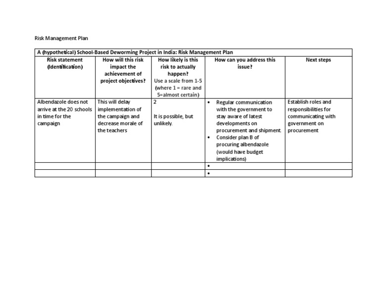 Risk Management Plan Template | PDF