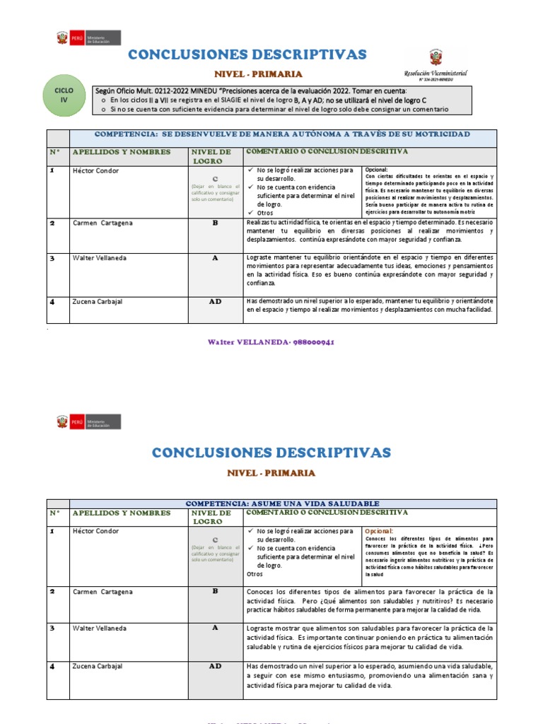 Conclusiones Descriptivas - Ciclo IV | PDF