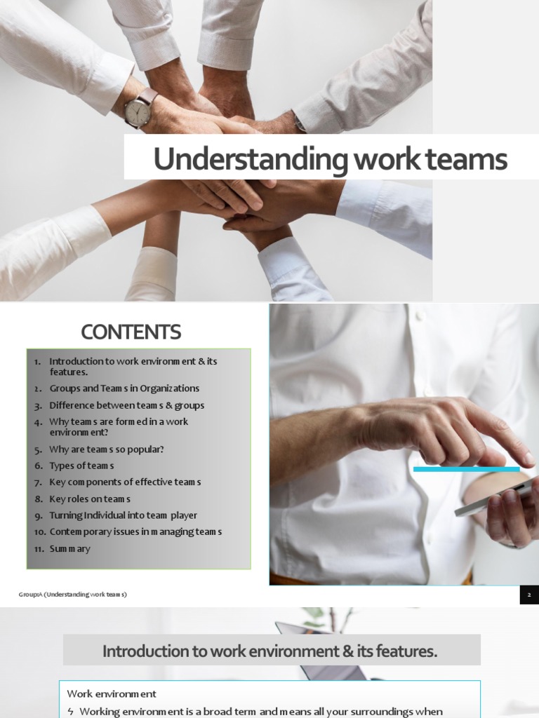 Understanding Work Teams | PDF