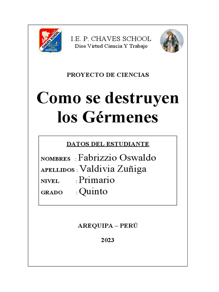 Proyecto Como Se Destruyen Los Germenes | PDF