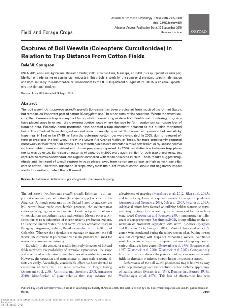 Captures of Boll Weevils in Relation To Trap Distance From Cotton ...
