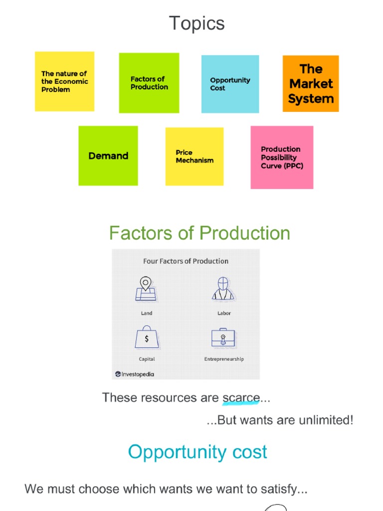 Economics Revision | PDF