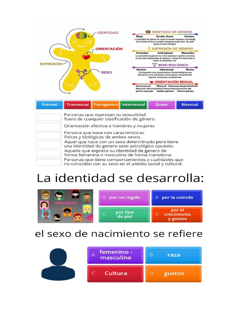 Actividades Identidad de Género | PDF