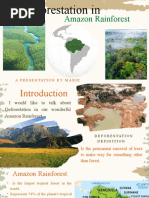 Amazon Deforestation Data and Graphs | PDF | Amazon Rainforest ...