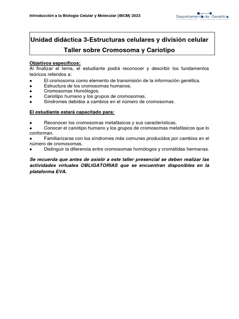 Taller Cromosomas y Cariotipo 2023 | PDF | Cromosoma | Cariotipo