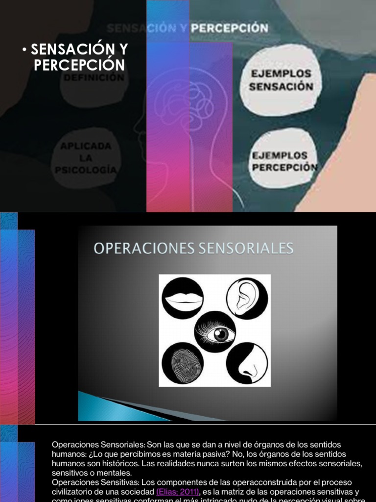 Sensacion y Persepcion | Descargar gratis PDF | Percepción | Terapia Gestalt