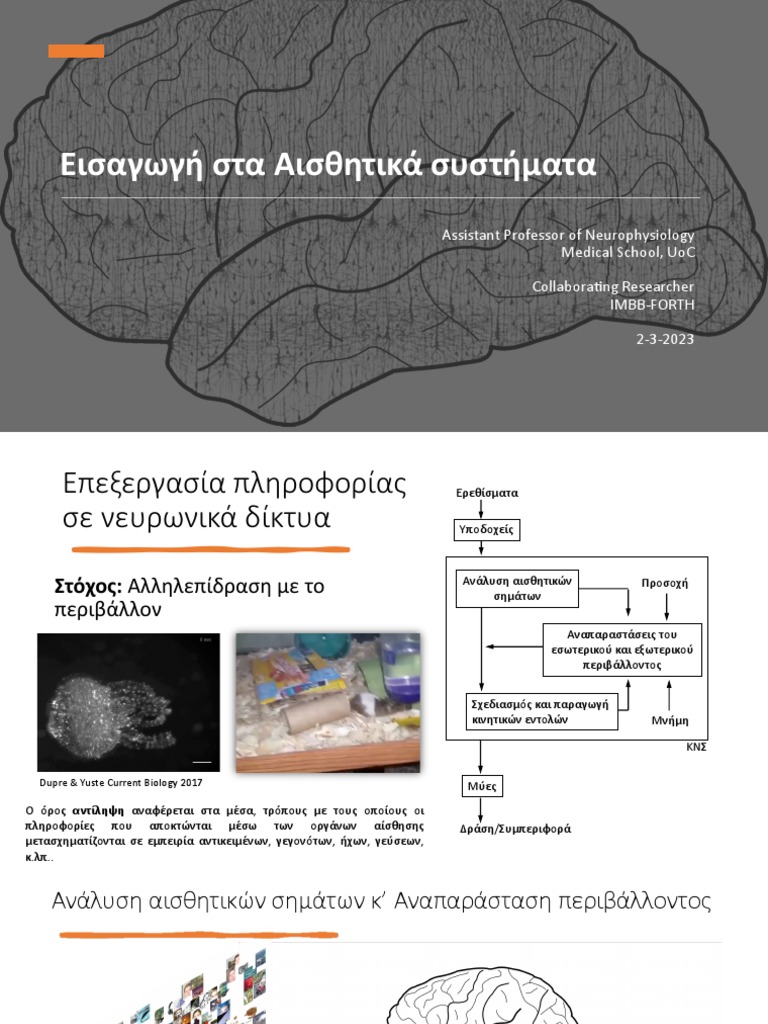 Introduction To Sensory Systems | PDF